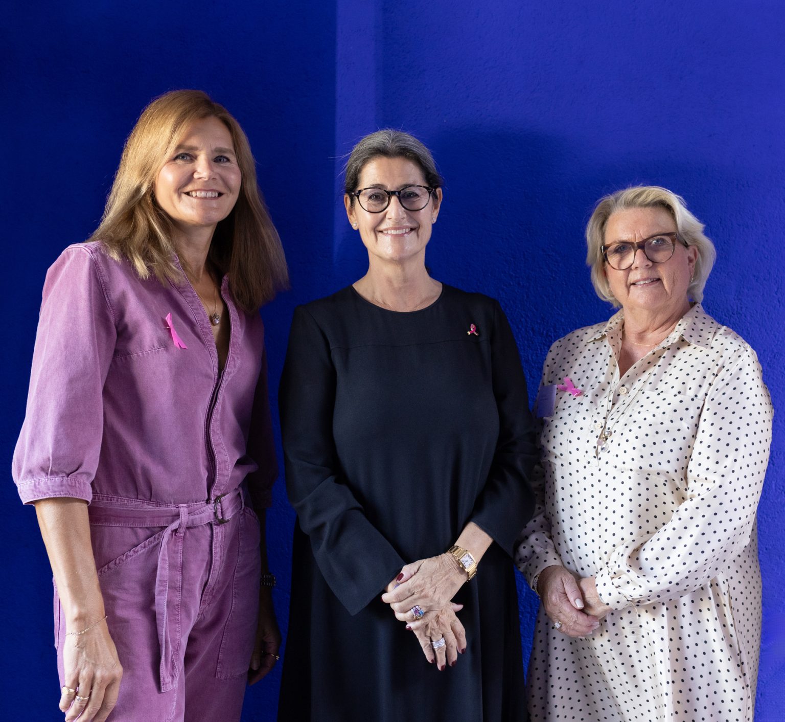 About – Pink Tribute